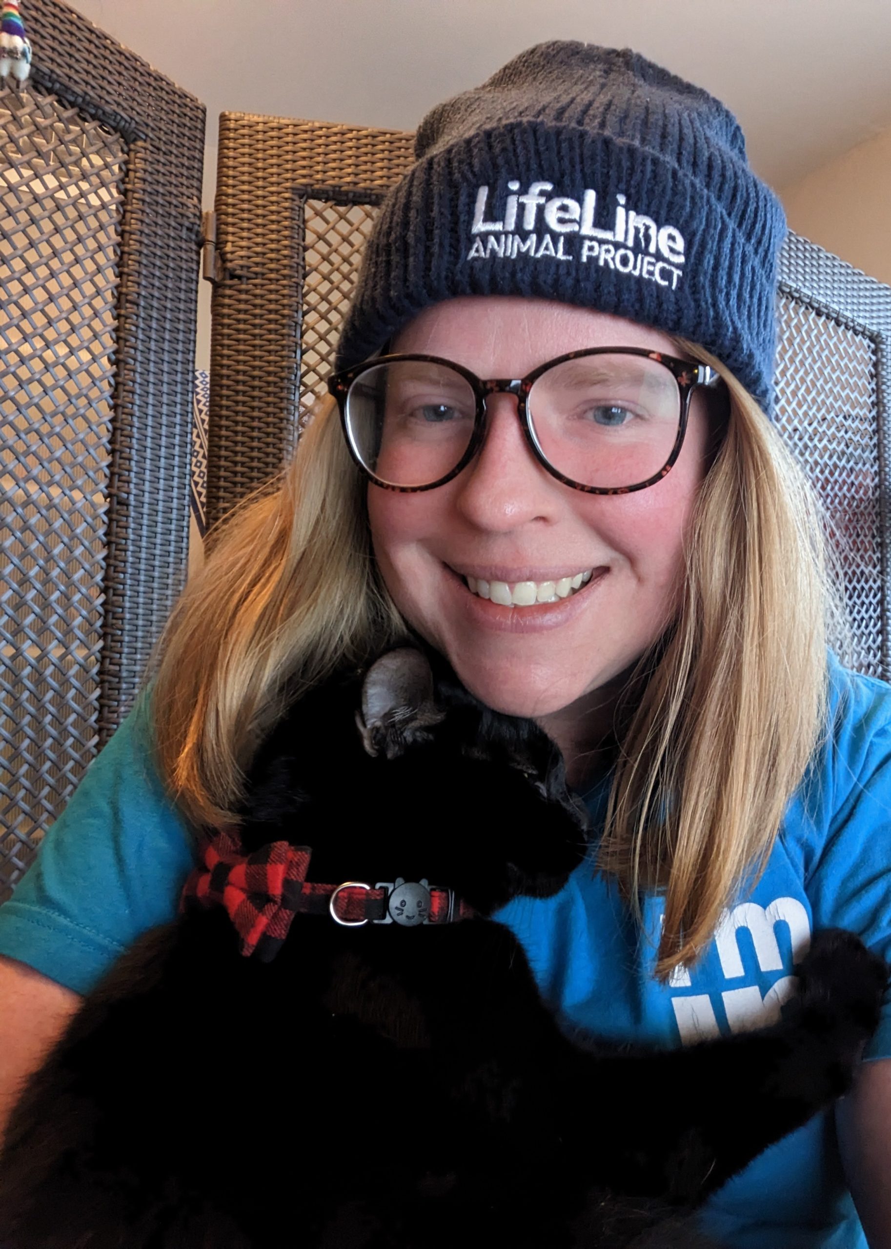 Seasonal Volunteer Spotlight - LifeLine Animal Project