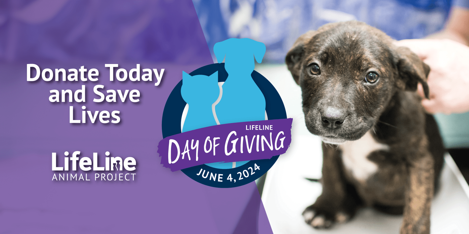 Events from June 21 – July 5 – LifeLine Animal Project