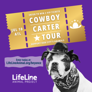 LifeLine Animal Project | Adopt | Foster | Donate | Volunteer | Atlanta, GA