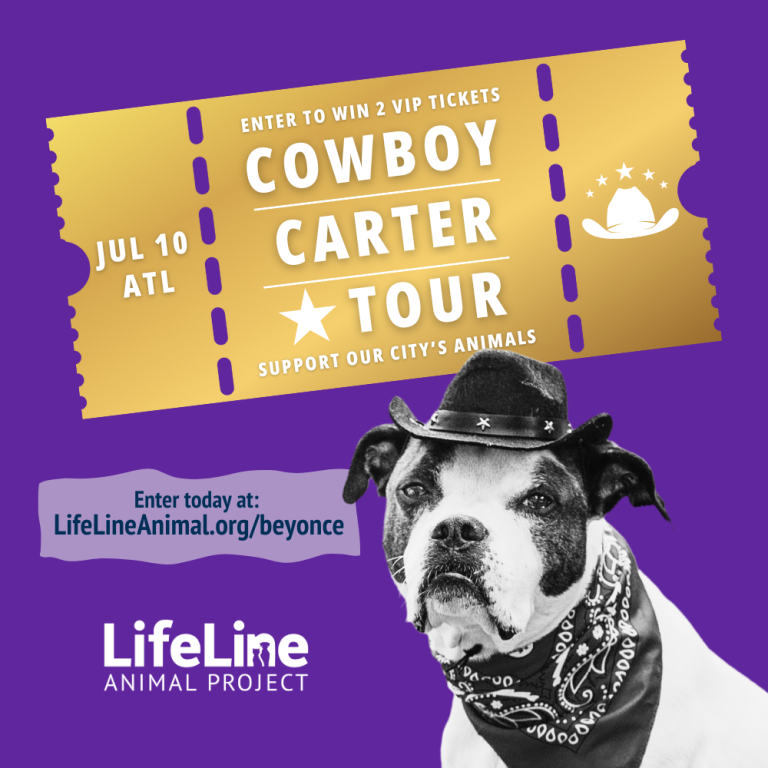 LifeLine Animal Project | Adopt | Foster | Donate | Volunteer | Atlanta, GA