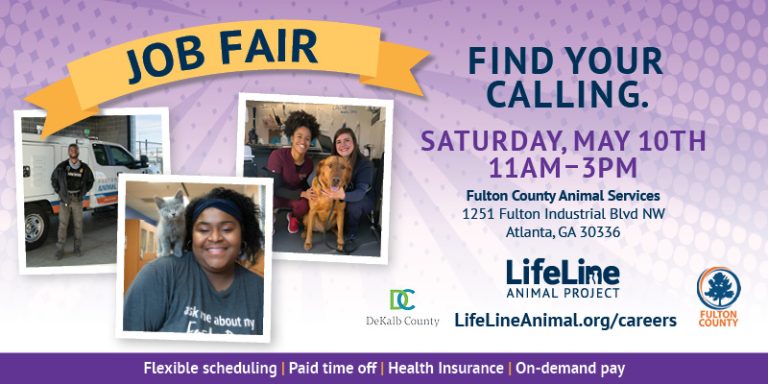 Careers - LifeLine Animal Project | Join The LifeLine Team