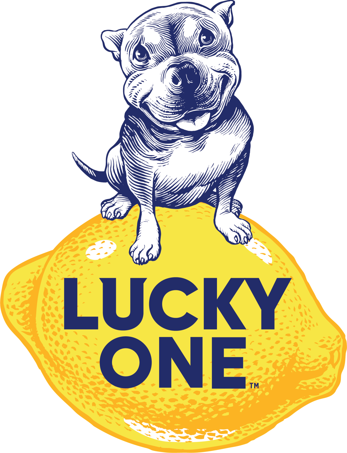 Spooky Pooch 5K & Fun Walk - LifeLine Animal Project - Atlanta, GA