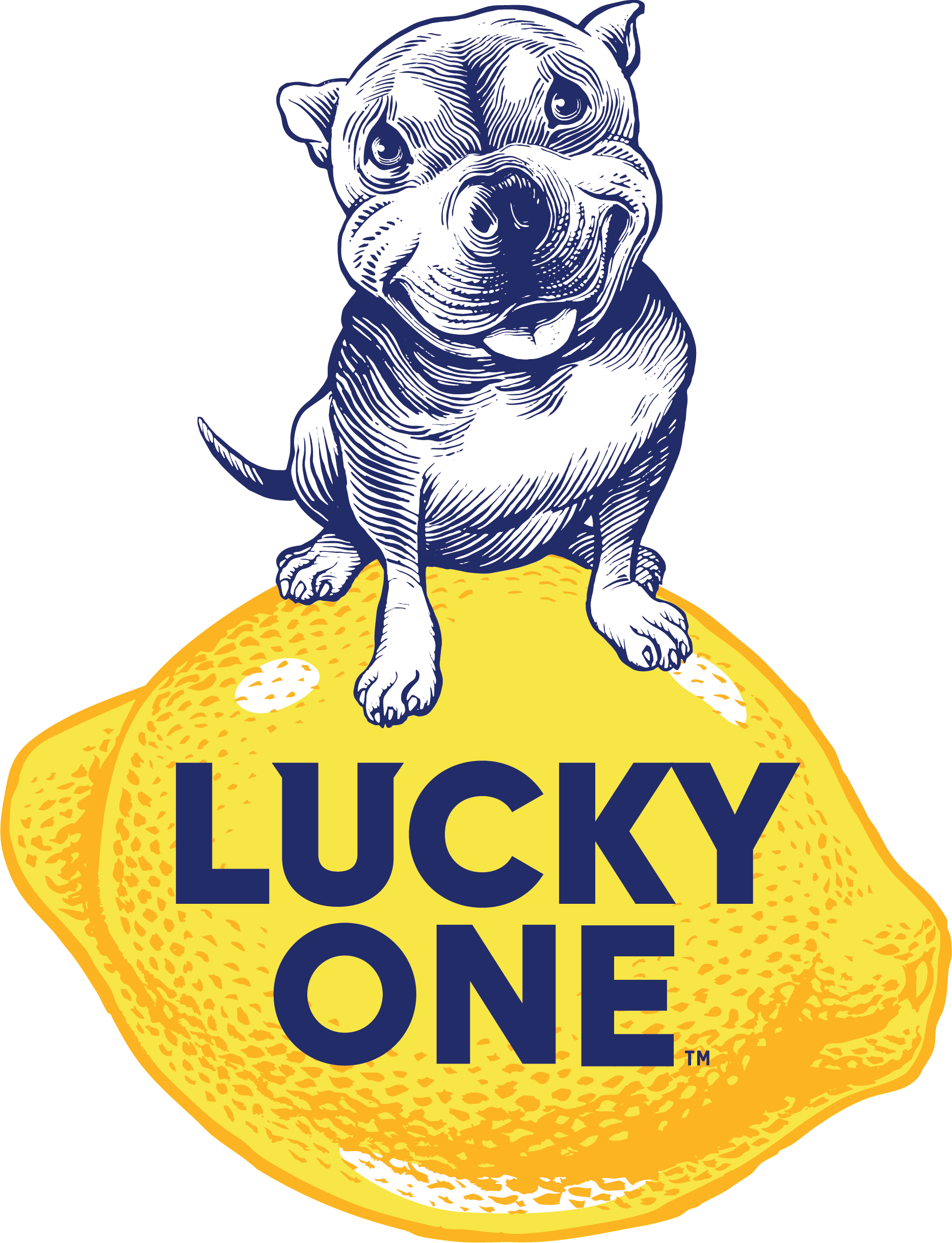 Spooky Pooch 5K & Fun Walk - LifeLine Animal Project - Atlanta, GA